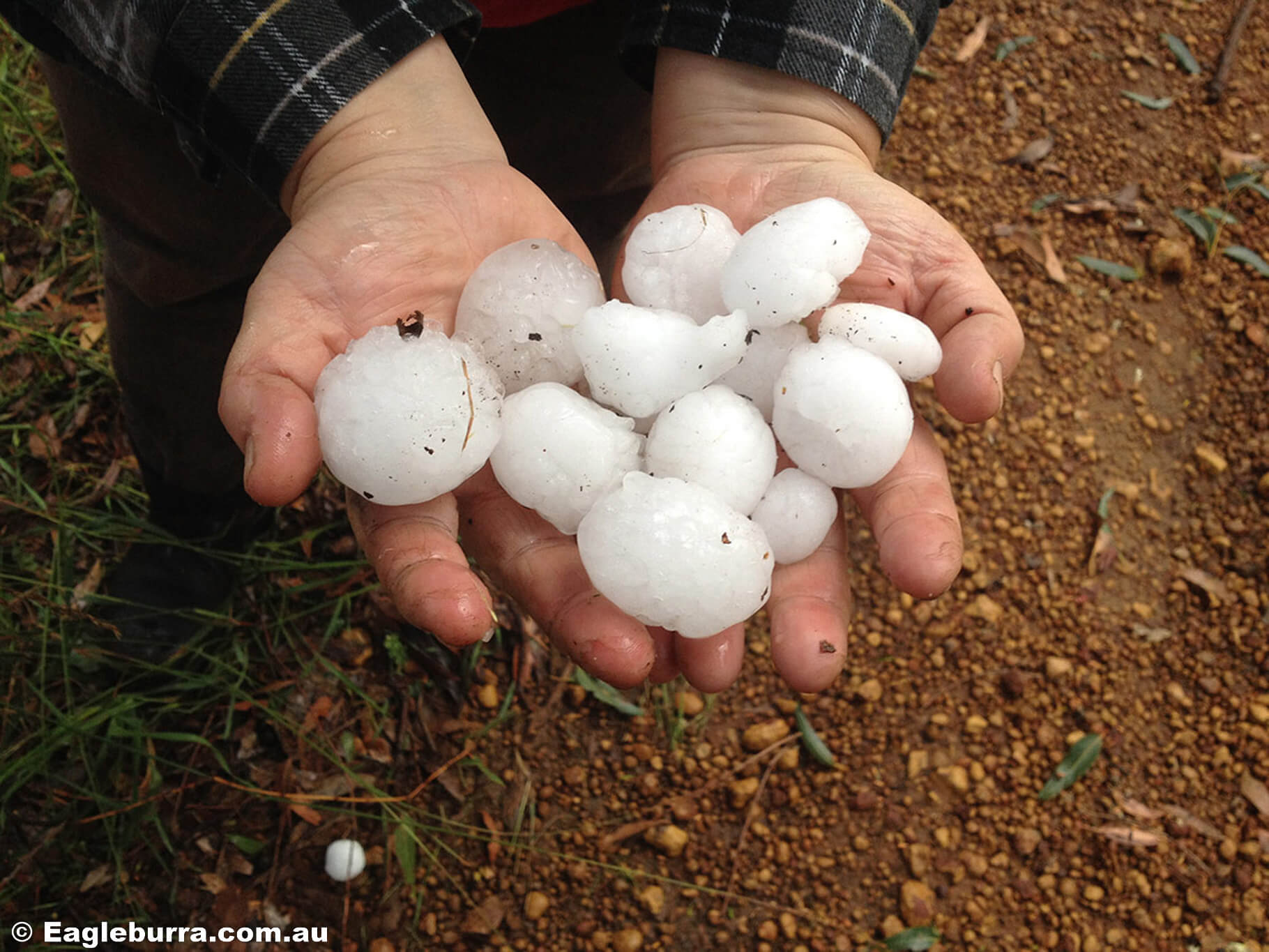 Massive Hail storm - Eagleburra Pygmy Goat Stud