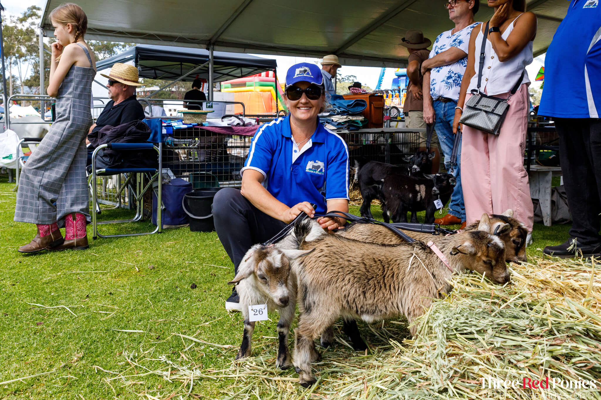 The First Pygmy Goat Show in Western Australia - Eagleburra Pygmy Goat Stud